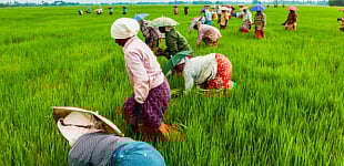 Goan farmers want proposed Agri Policy to be farmer-centric; ready to ...