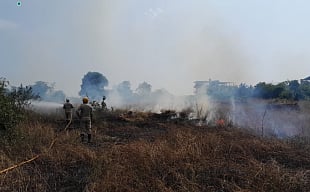 Annual Fire Outbreak Near Arambol Petrol Pump Sparks Arson Suspicions ...