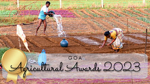 Agricultural Excellence To be Celebrated on Goa Liberation Day: State ...