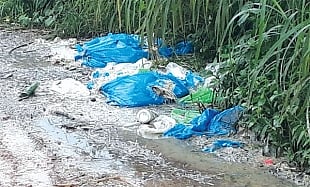 Dumping of chicken waste plagues Goan villages, panchayats seek urgent ...