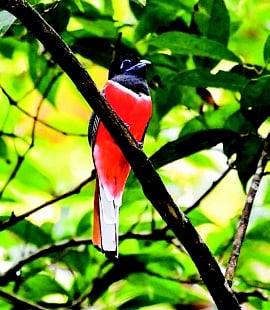 A grim picture indeed