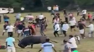COLVA POLICE BOOK UNKNOWN PERSONS FOR ORGANISING BULL FIGHTS RESULTING ...