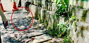 Overflowing septic tank at South Goa Police Headquarters a cause of woe ...