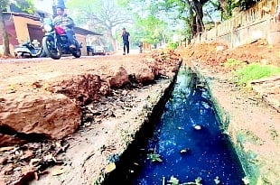 Panjim's chocked drain turns into fertile breeding ground for mosquitoe ...