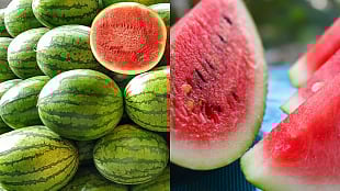 Consuming Watermelon in hot summer? Be Careful
