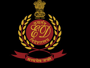 Great Goa land grab: ED files over 4,000 pages chargesheet