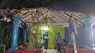 Huge Mango Tree Collapses Onto Homes Near Datta Temple in Chapora; 2 ...