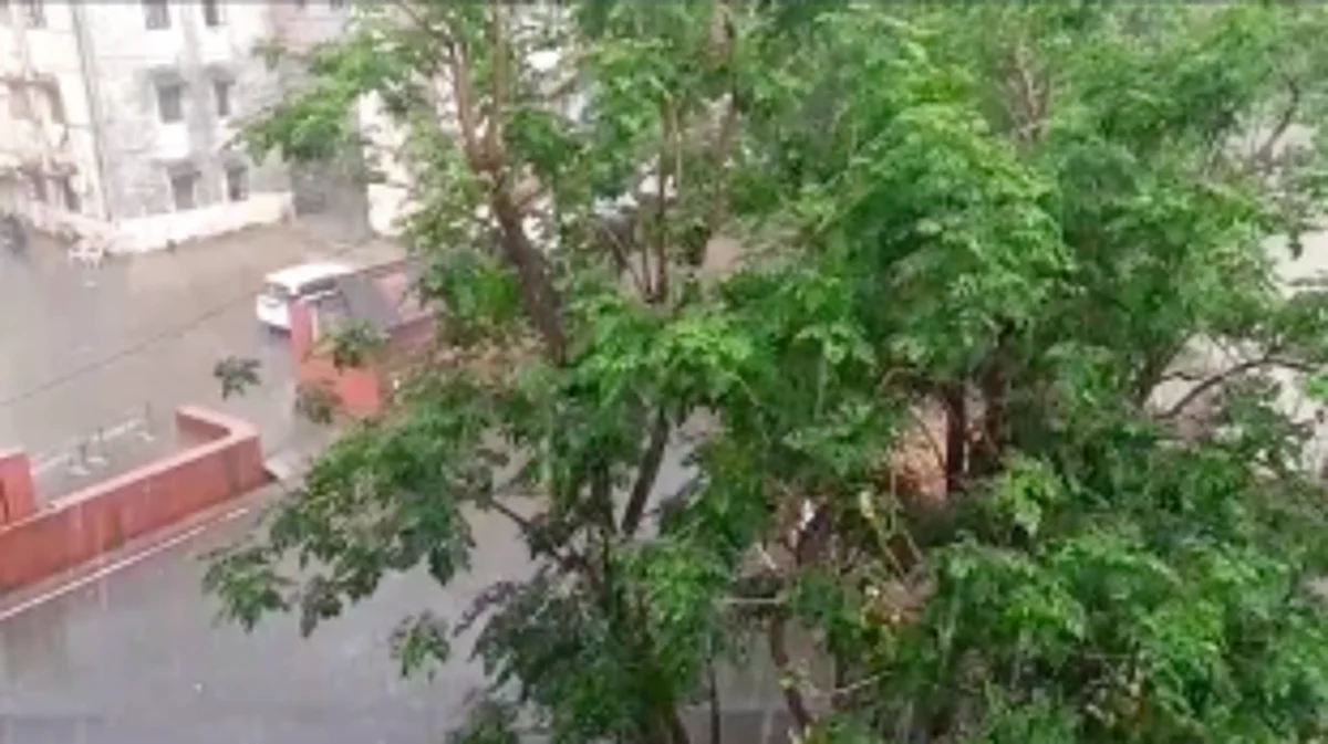 Goa experiences unseasonal rainfall; IMD issues yellow alert Goa experiences unseasonal rainfall; IMD issues yellow alert
