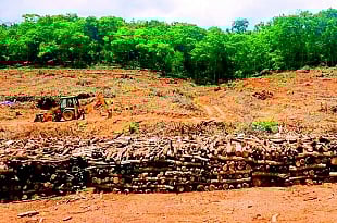 Tamnar project to be ready by August, claims Dhavalikar; greens react ...