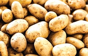 From Earth to plate: the journey of a potato on World Potato Day