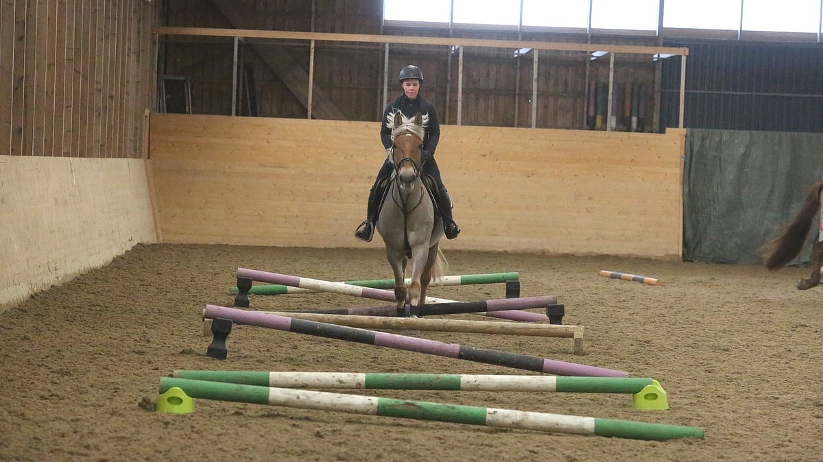 Vionetan talvitreenit - huipputamma palaa kilparadoille