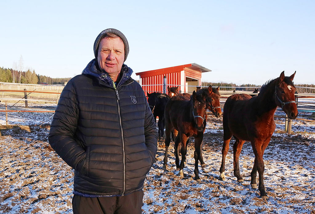 Markku Punkari Amerikan ostoksilla: 3-vuotias tamma Muscle Hillistä