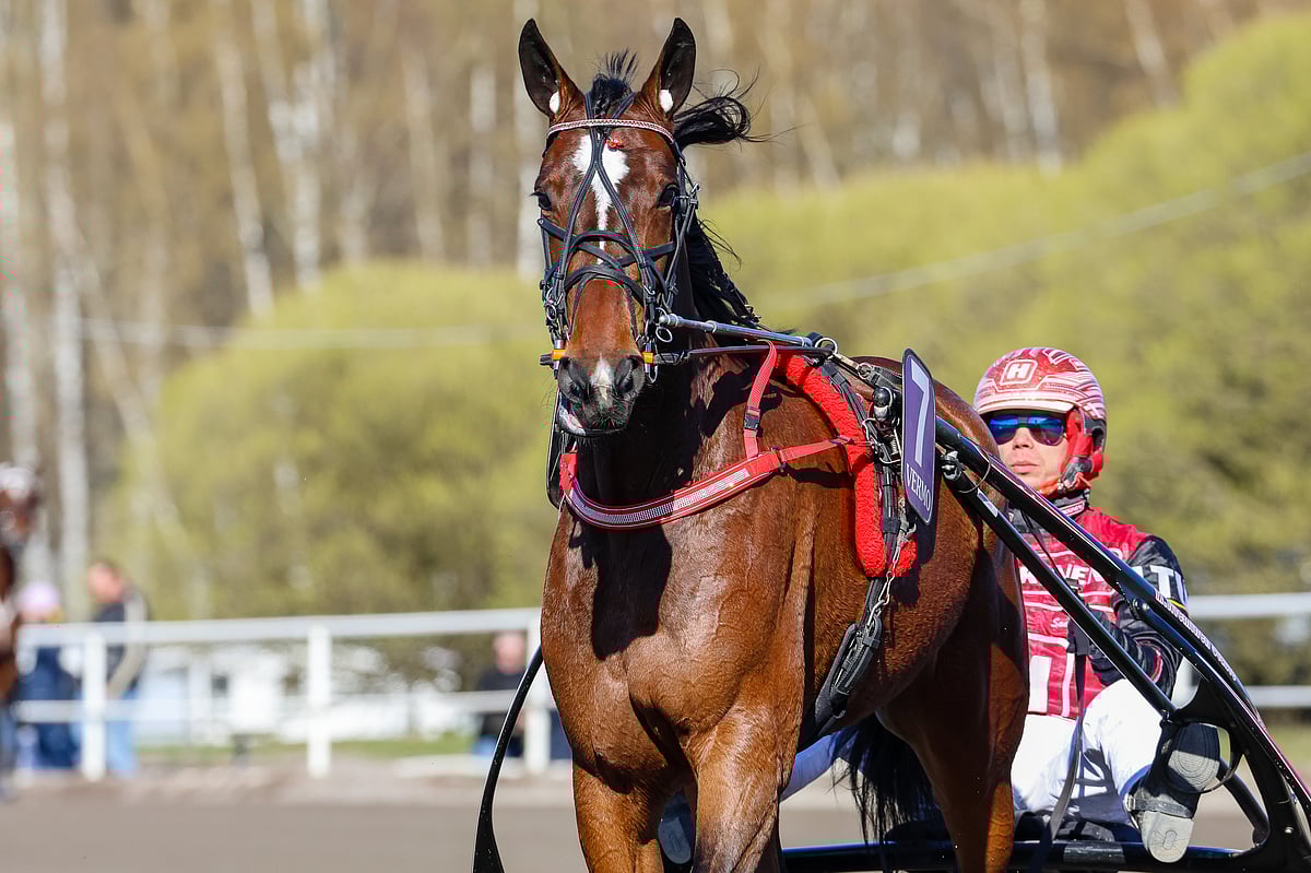 Halley Wania huippupaikalta hopeadivarikarsintaan – lauantain ...