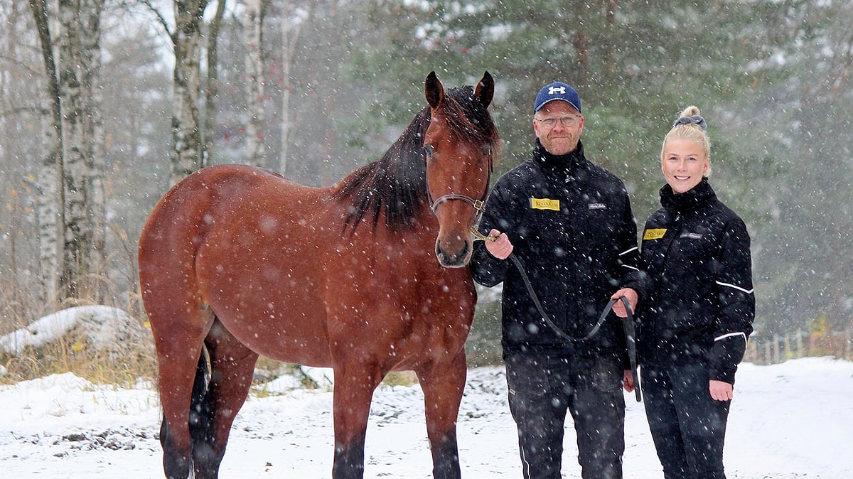 Sukulinjat: Anna Torvinen ja Tero Sulin soittelevat päivittäin – "Hän ...