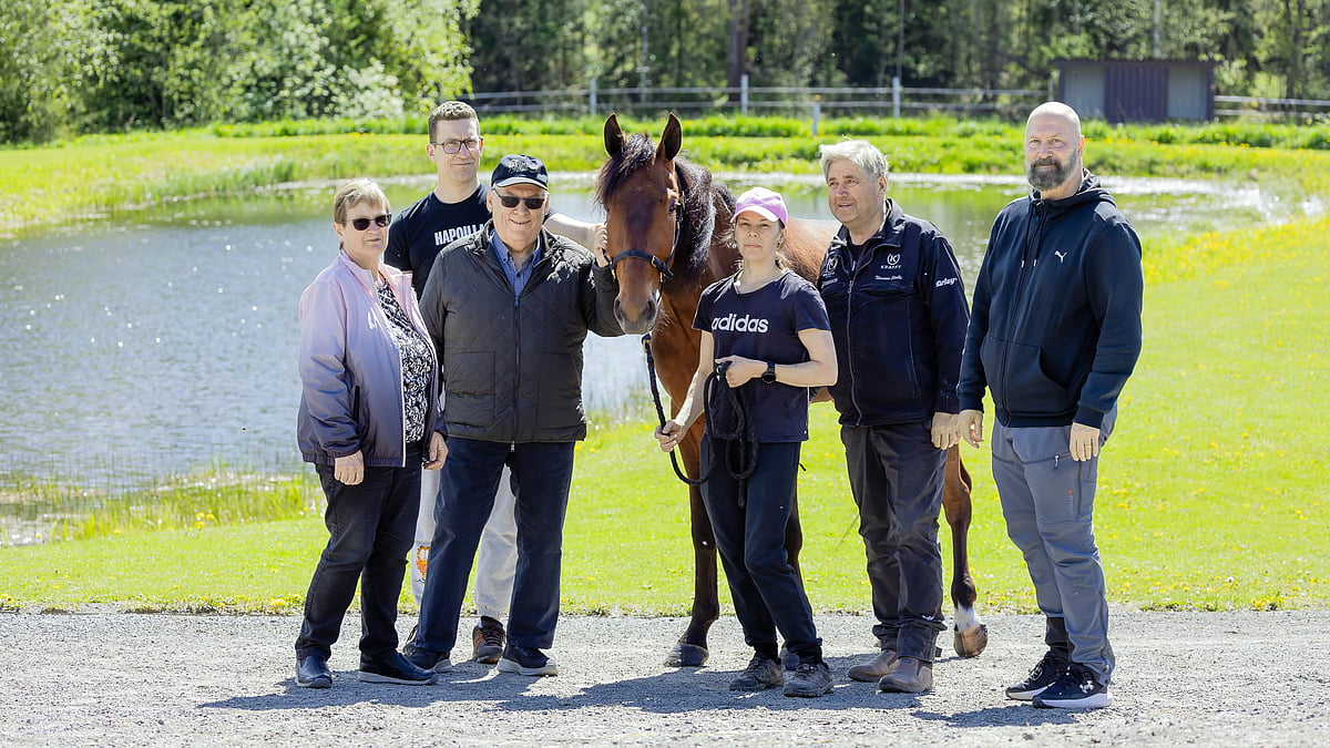 Kuukauden hevonen Ancio seuraavaksi E3-karsinnoissa – rata-arvonnassa ...