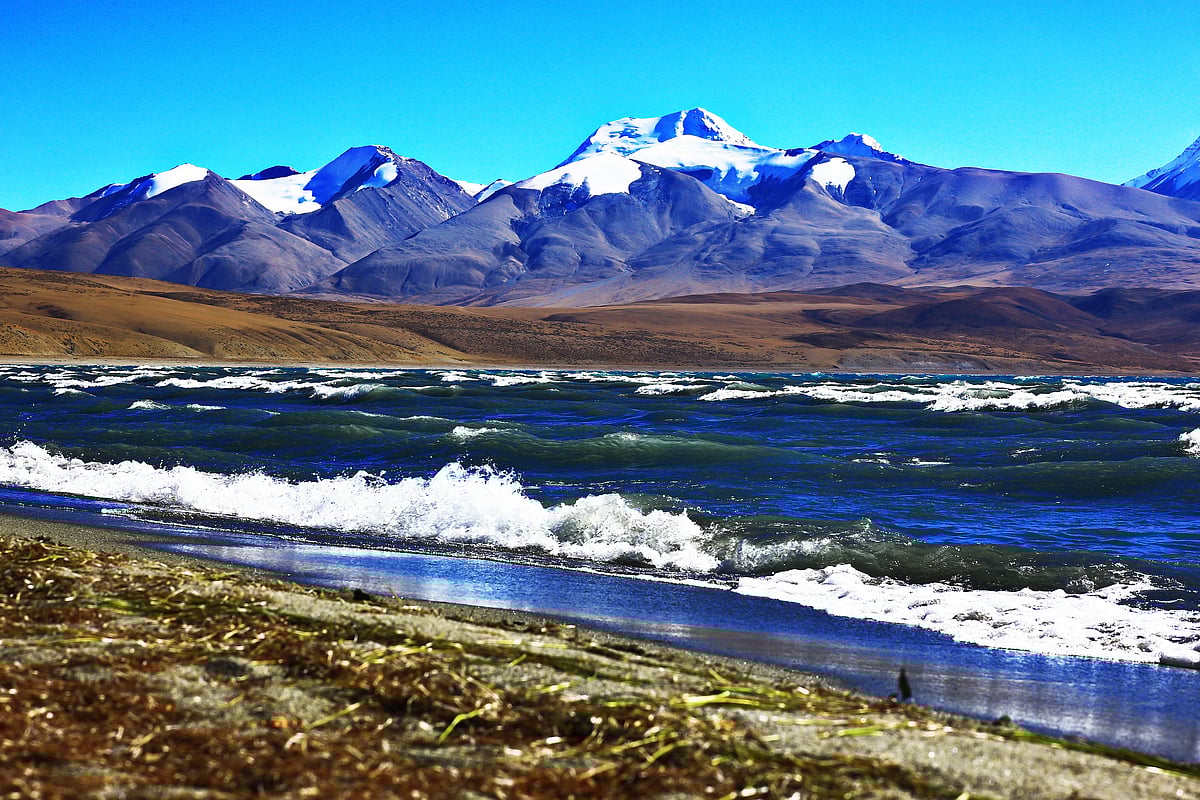 Quest for the Four Fountains of Tibet