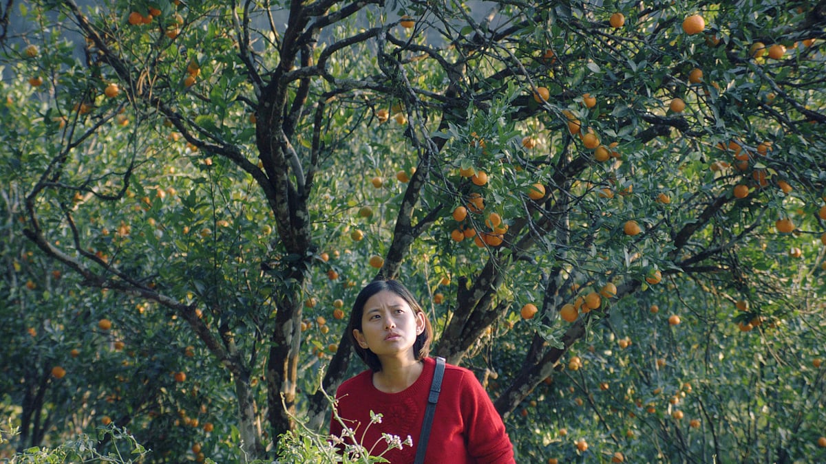 Shape of Momo Movie Review: A Tender Sikkimese Coming-of-Age Drama on ...