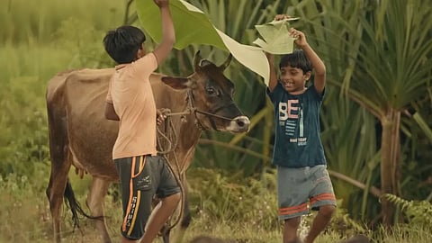 Valavaara Movie Review: An Emotional Kannada Tale | THR India