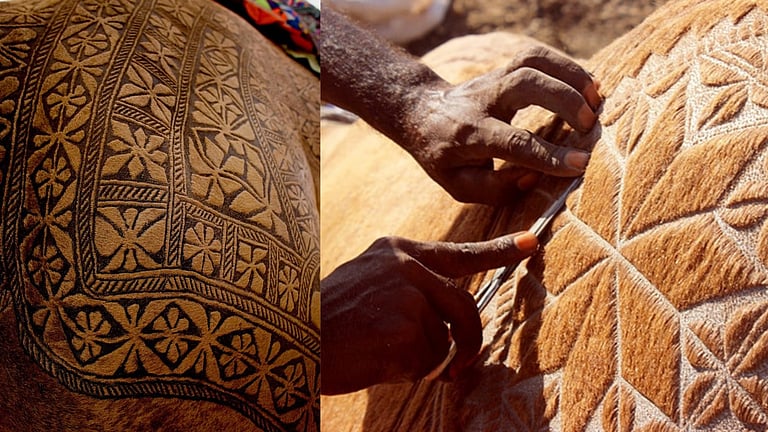 Who Is This Diva?: Inside The Stunning Art Of Camel Grooming In ...