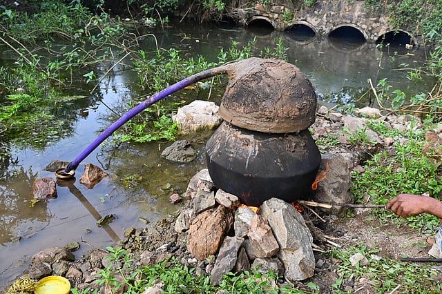 Mahua Liquor: The History & Revival Of India’s Forgotten Spirit