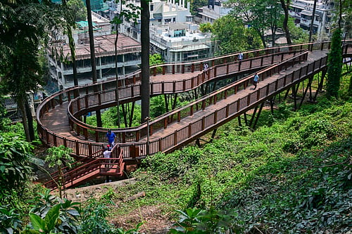 The Malabar Hill Elevated Walkway: Mumbai's First Tree-Top Nature Trail ...