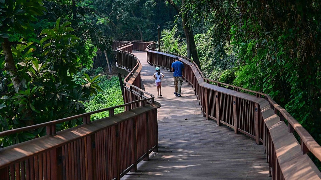 The Malabar Hill Elevated Walkway: Mumbai's First Tree-Top Nature Trail ...