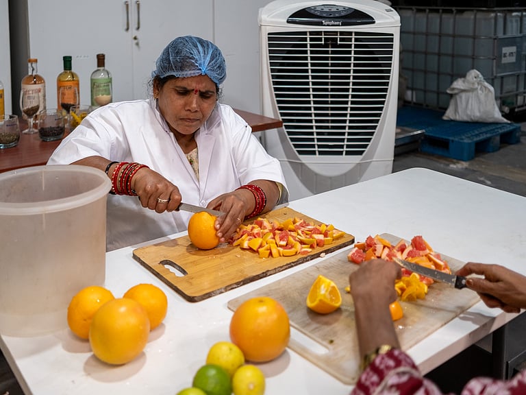 From Goa To The World: Inside Sector Gin & India’s Evolving Craft Gin ...