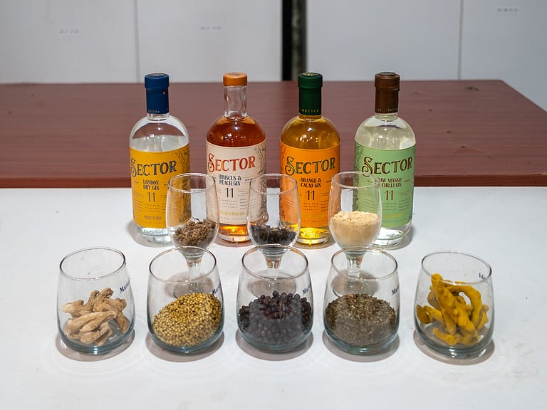From Goa To The World: Inside Sector Gin & India’s Evolving Craft Gin ...