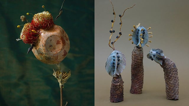A Homegrown Art Series Reimagines Plants As Surreal Organic Sculptures