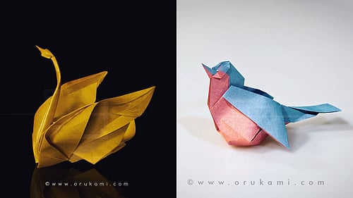 Homegrown's List of Origami Artists in India | Homegrown