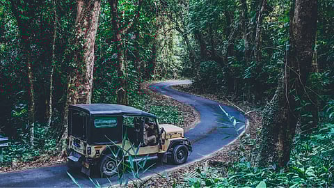 Visit Krem Chympe, A Majestic Underground River Cave In Meghalaya ...