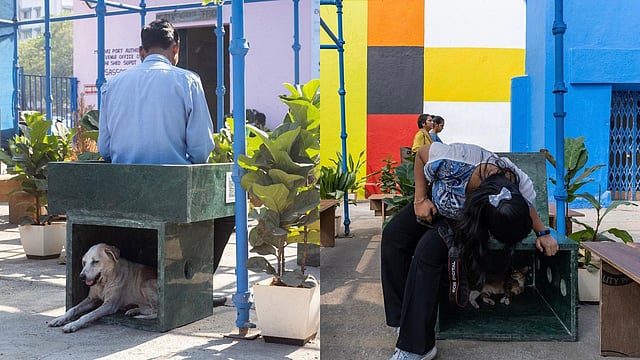Animal Friendly Seating Designs For Urban Cities By The Initiative Life ...