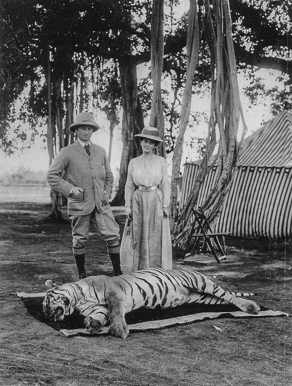 Historical Events Leading Up To Project Tiger: India's Largest Tiger ...