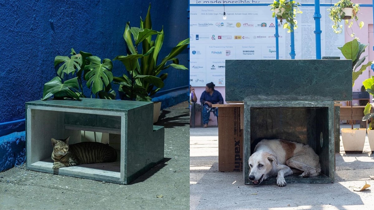 Animal Friendly Seating Designs For Urban Cities By The Initiative Life ...