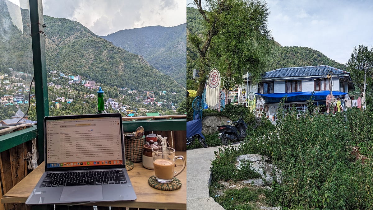 Explore Dharamkot With Homegrown's One-Stop Guide | Homegrown India