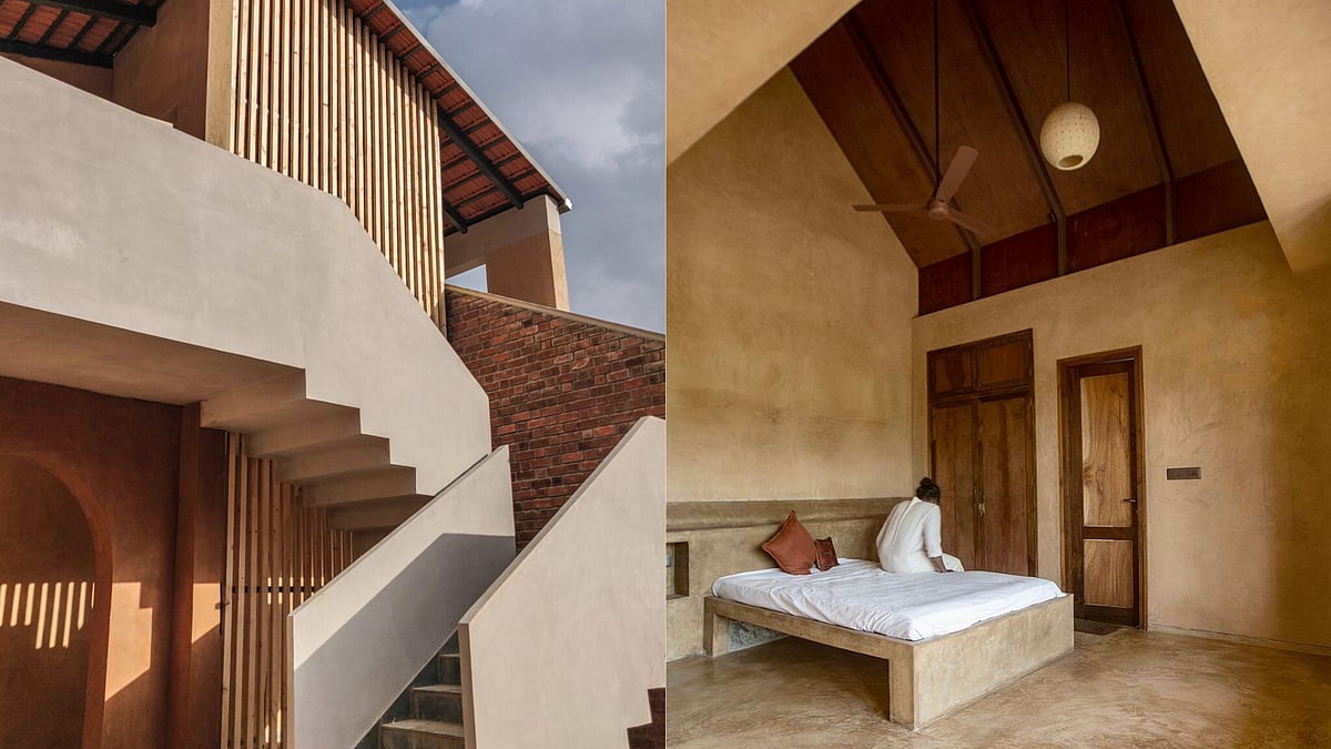 Made In Earth's Ecological Designs | Homegrown