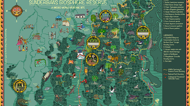 Rohan Chakravarty's Illustration Of Sundarban Map | Green Humour ...