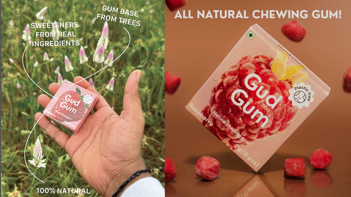 Gud Gum Is An Eco-Friendly Gum Made From Tree Sap | Homegrown
