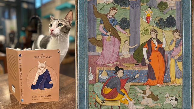 'The Indian Cat' Is An Homage To The Feline Superstitions And Metaphors ...