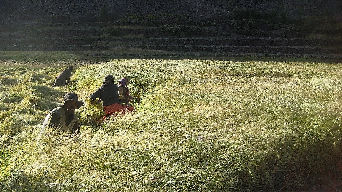 A Homegrown Guide To Mindful Travelling In Ladakh