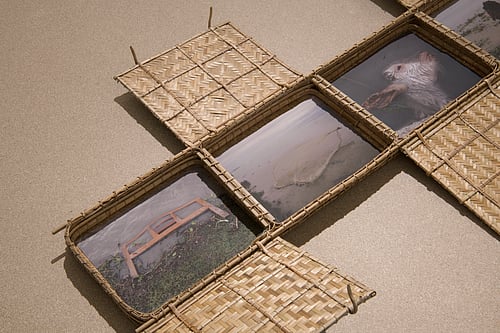 Delhi, Attend An Exhibition Intersecting Art & Science To Promote Eco ...