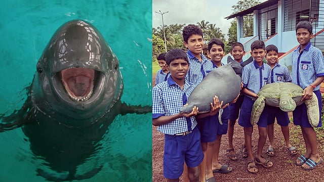 Immerse Yourself In Goa's Marine Wildlife With Terra Conscious | Homegrown