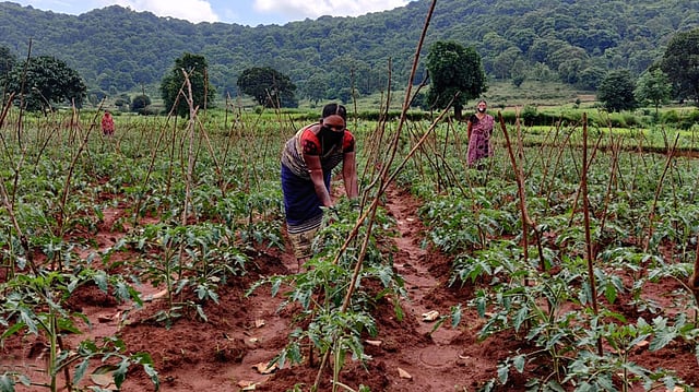 The Dream Of An Equitable Nation: How PRADAN Is Battling Poverty In ...