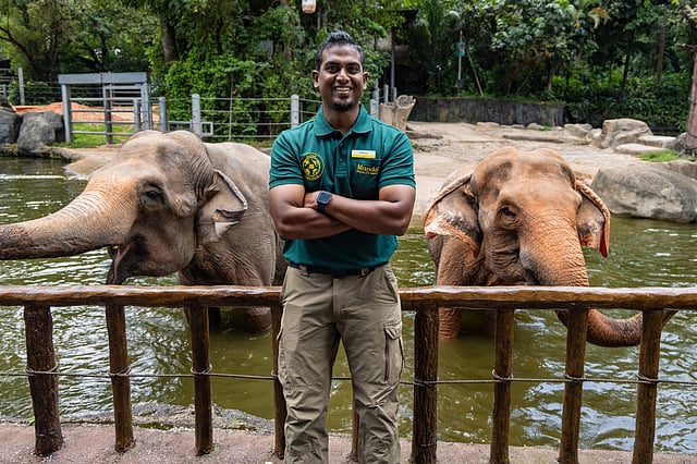 Homegrown's Guide To Multi-Generational Travel Experiences Made In ...