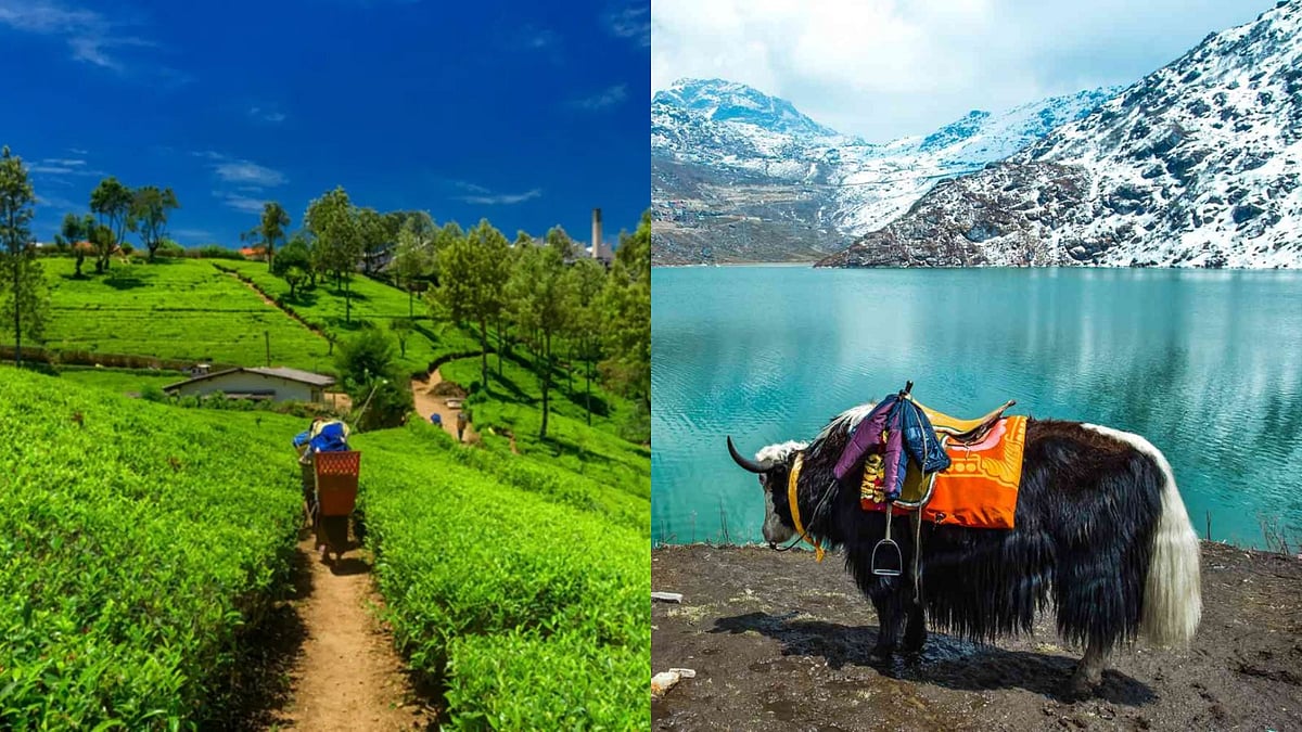 Discover Offbeat Summer Destinations In India With Homegrown | Homegrown