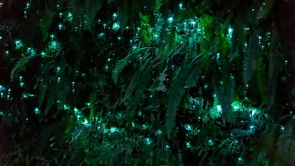 The Bhimashankar Wildlife Reserve In The Western Ghats Is Home To ...