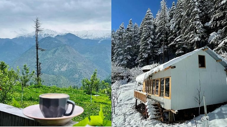 Fresh, Homemade & Plant-Based: Indulge Yourself At Plant Pot Cafe ...