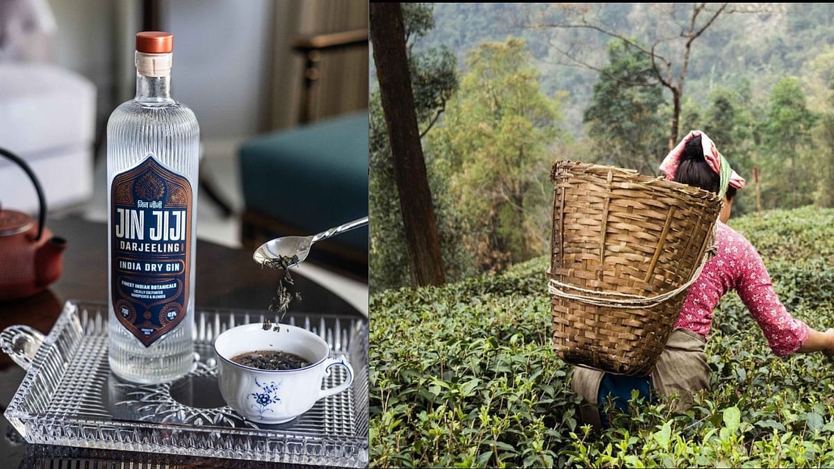 A Spirited Tribute To Masala Chai: Jin JiJi Is Capturing the Essence of ...