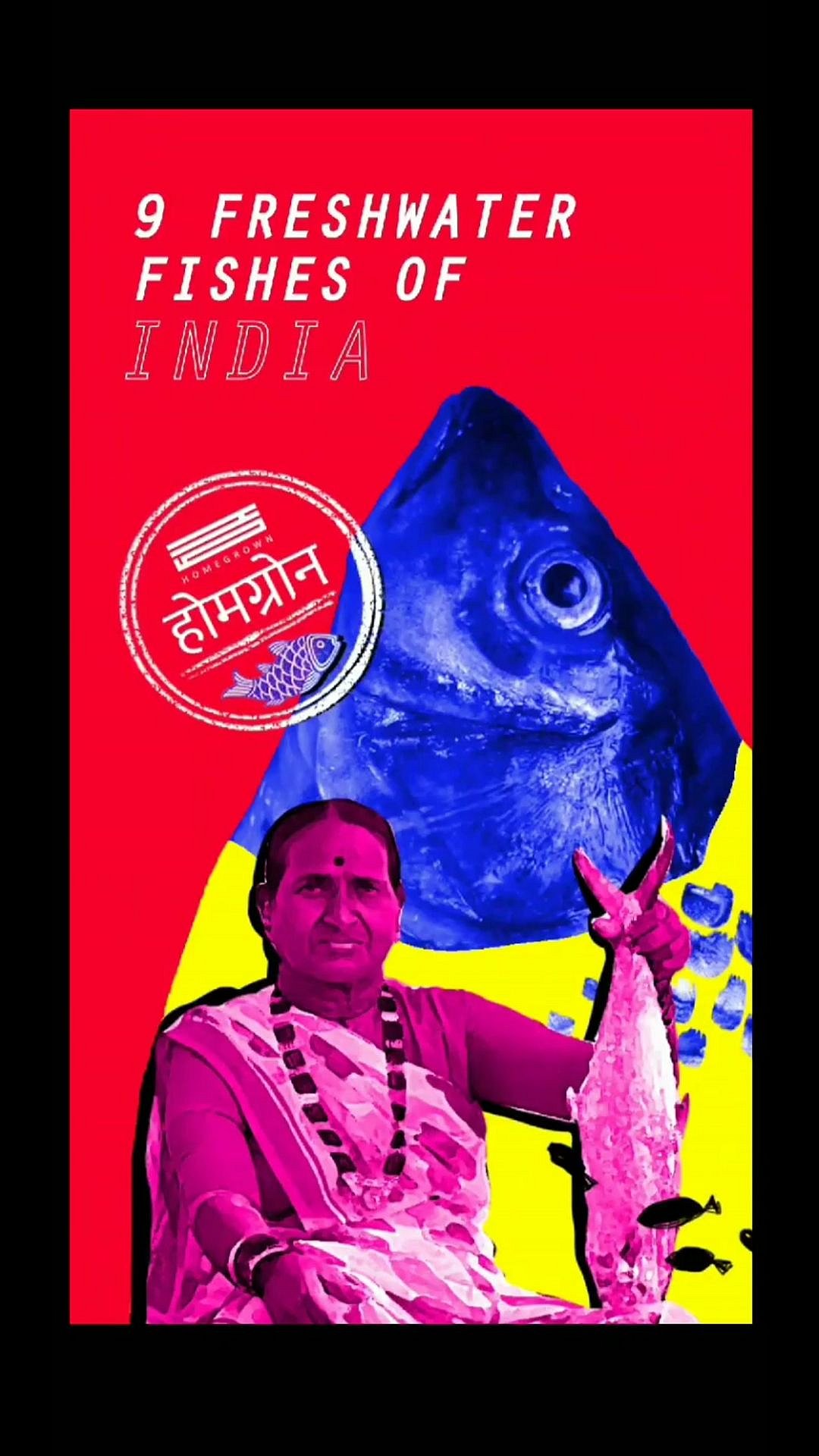 From Rohu To Hilsa — List Of Freshwater Fish Species Native To India