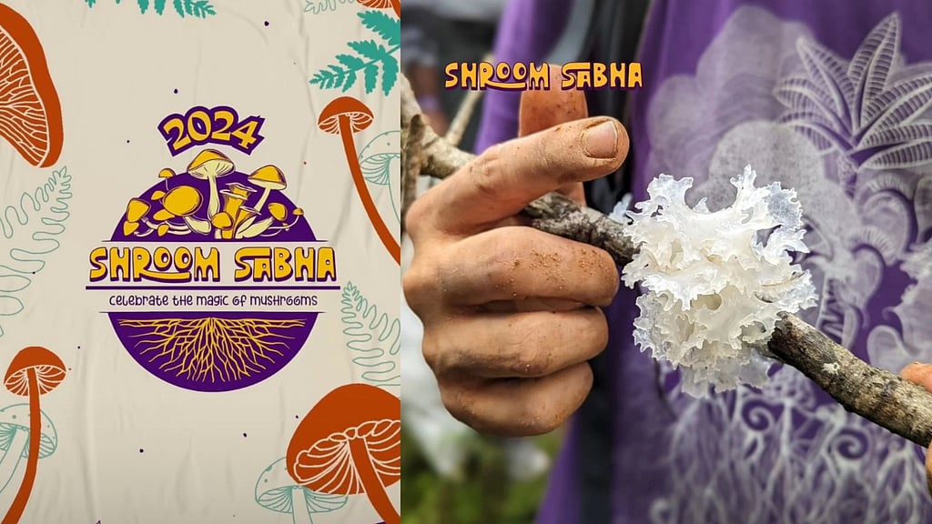 Shroom Sabha 2024: Attend A Kerala Festival Celebrating Kingdom Fungi ...